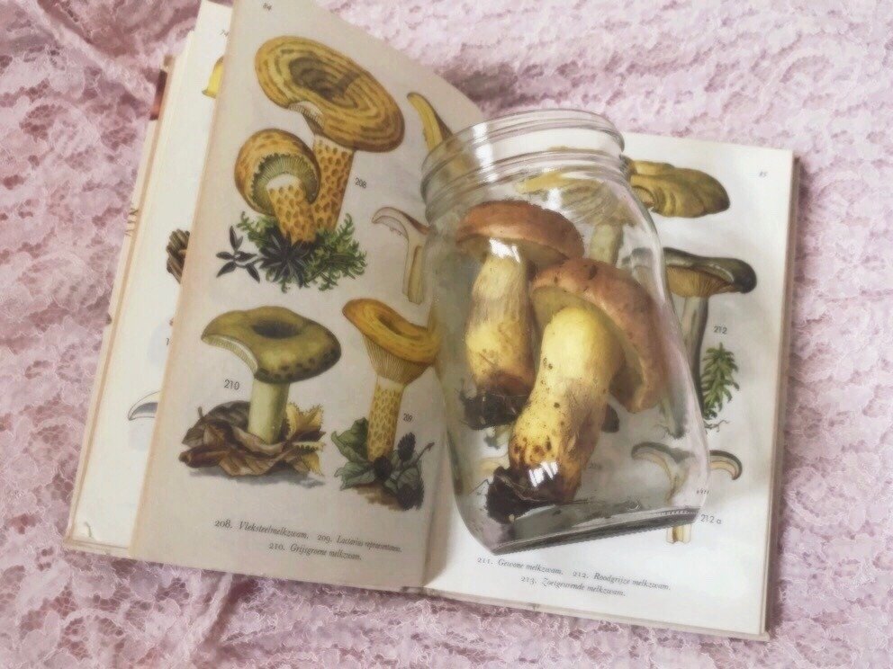 Goblin core постеры (50 фото)