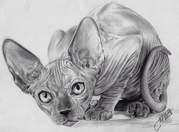 Сфинкс рисунок ручкой (47 фото) » Рисунки для срисовки и не только