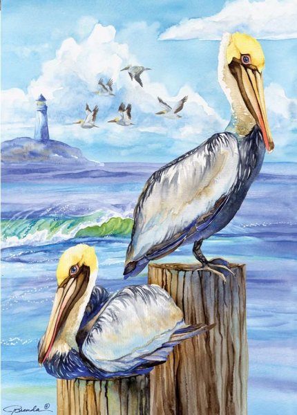 Пеликан рисунок (49 фото)