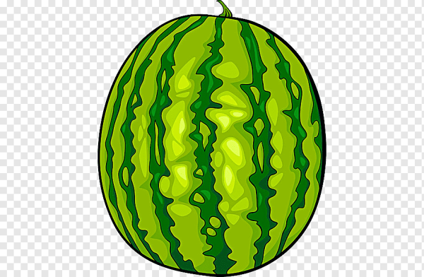 Картинка арбуз рисунок (47 фото)