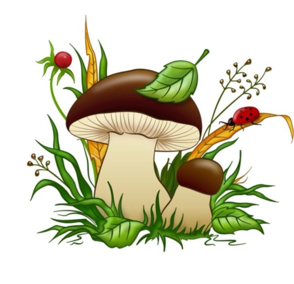 Красивый гриб рисунок (48 фото)